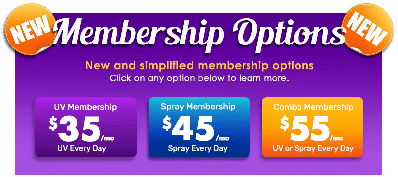 Zoom Tan | America's best UV and Spray Tanning Salon | Affordable and ...